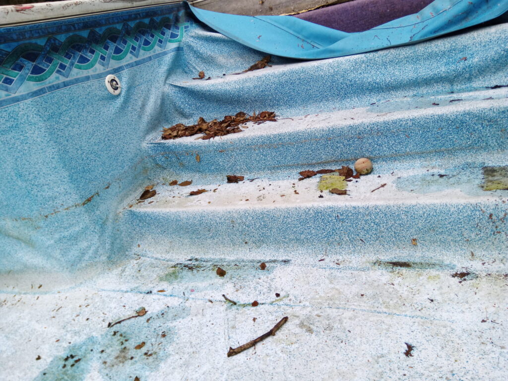 How to Drain a Pool: A Step-by-Step Guide | Coastal Pools